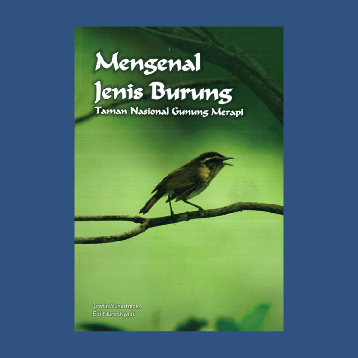 Mengenal Jenis Burung Taman Nasional Gunung Merapi - Taman Nasional Gn ...