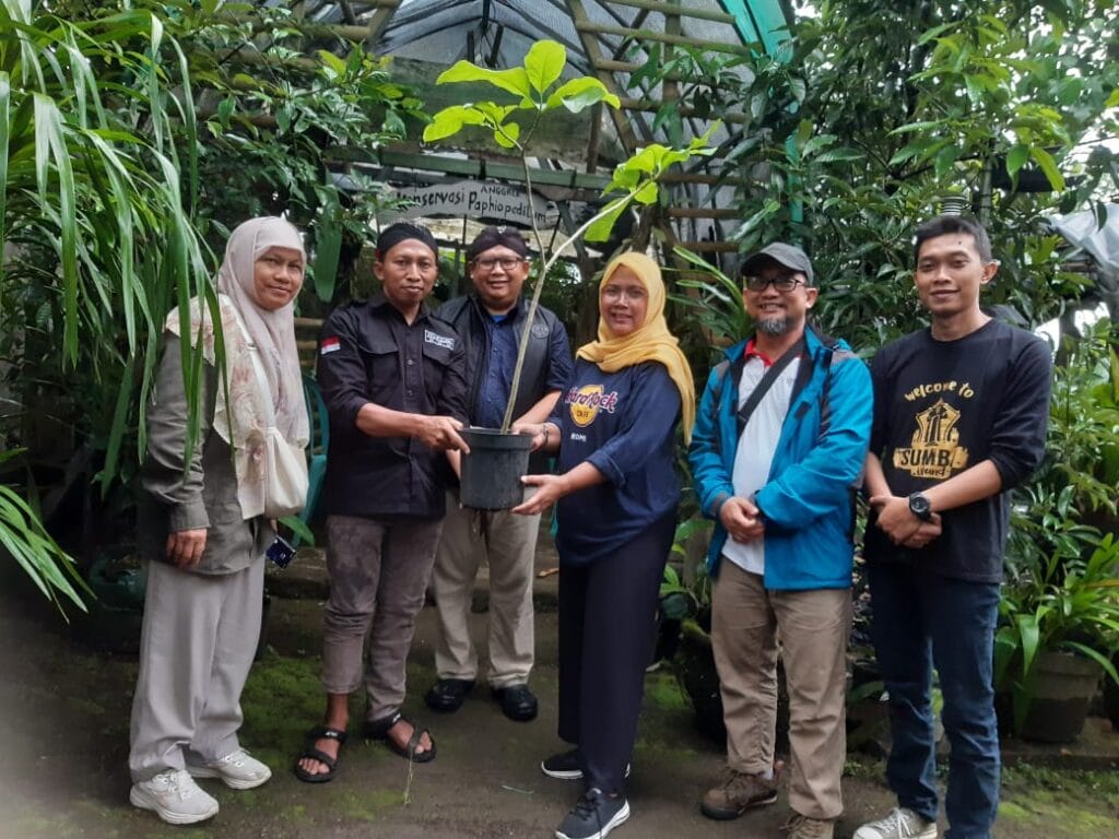 Sekretariat Ditjen KSDAE Tanam Anggrek di Gunung Merapi Pasca Kunjungi FPL Palem - Taman ...